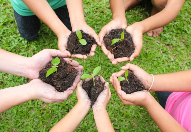 Youth: Caretakers and Protectors of Nature